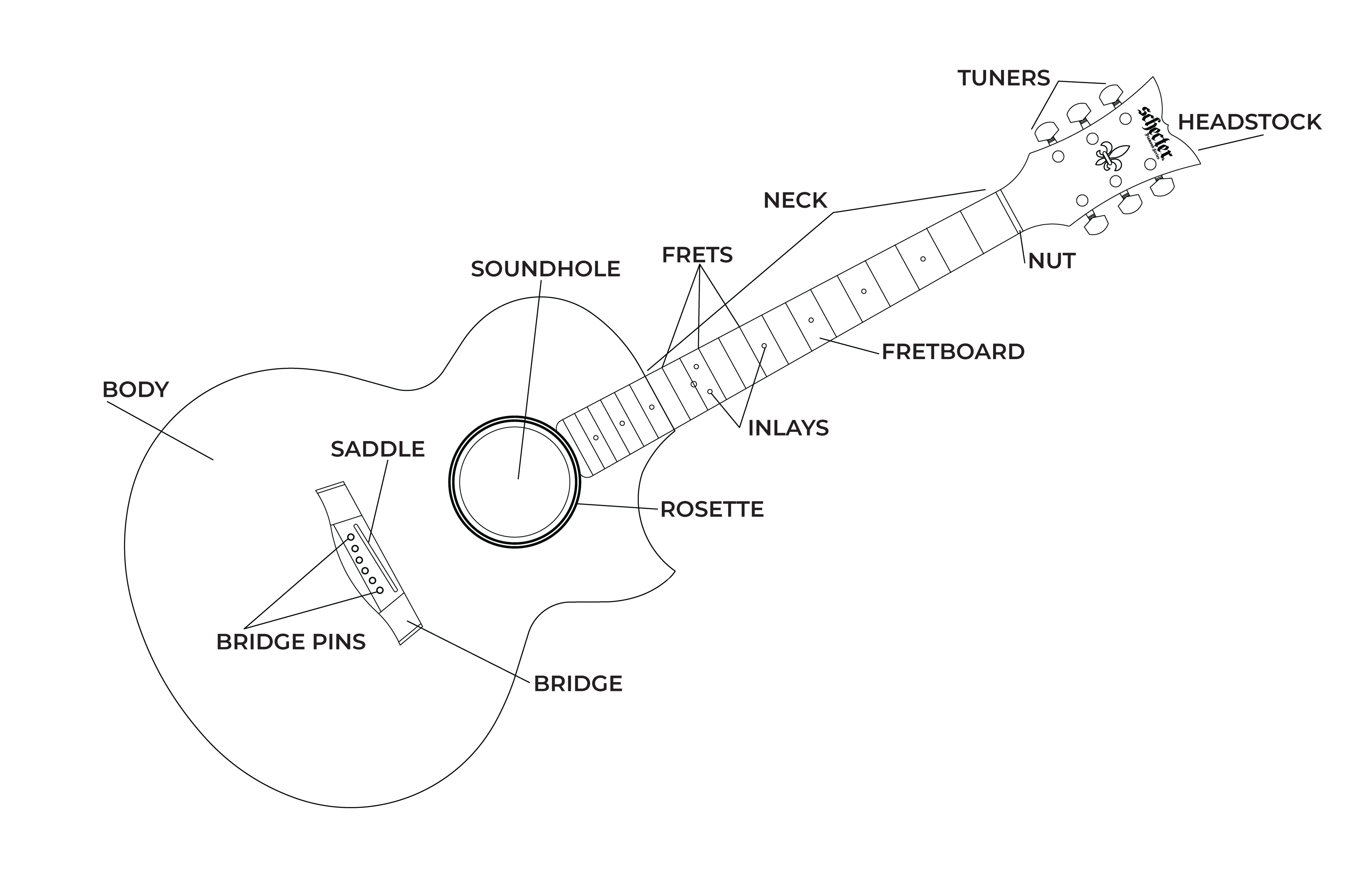 the-basics